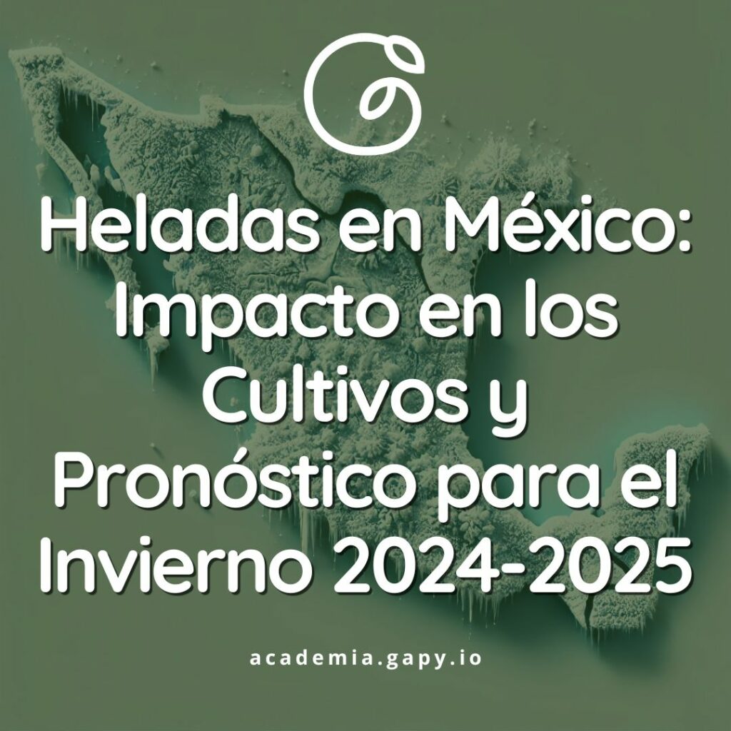 Heladas en México: Impacto en los Cultivos y Pronóstico para el ...