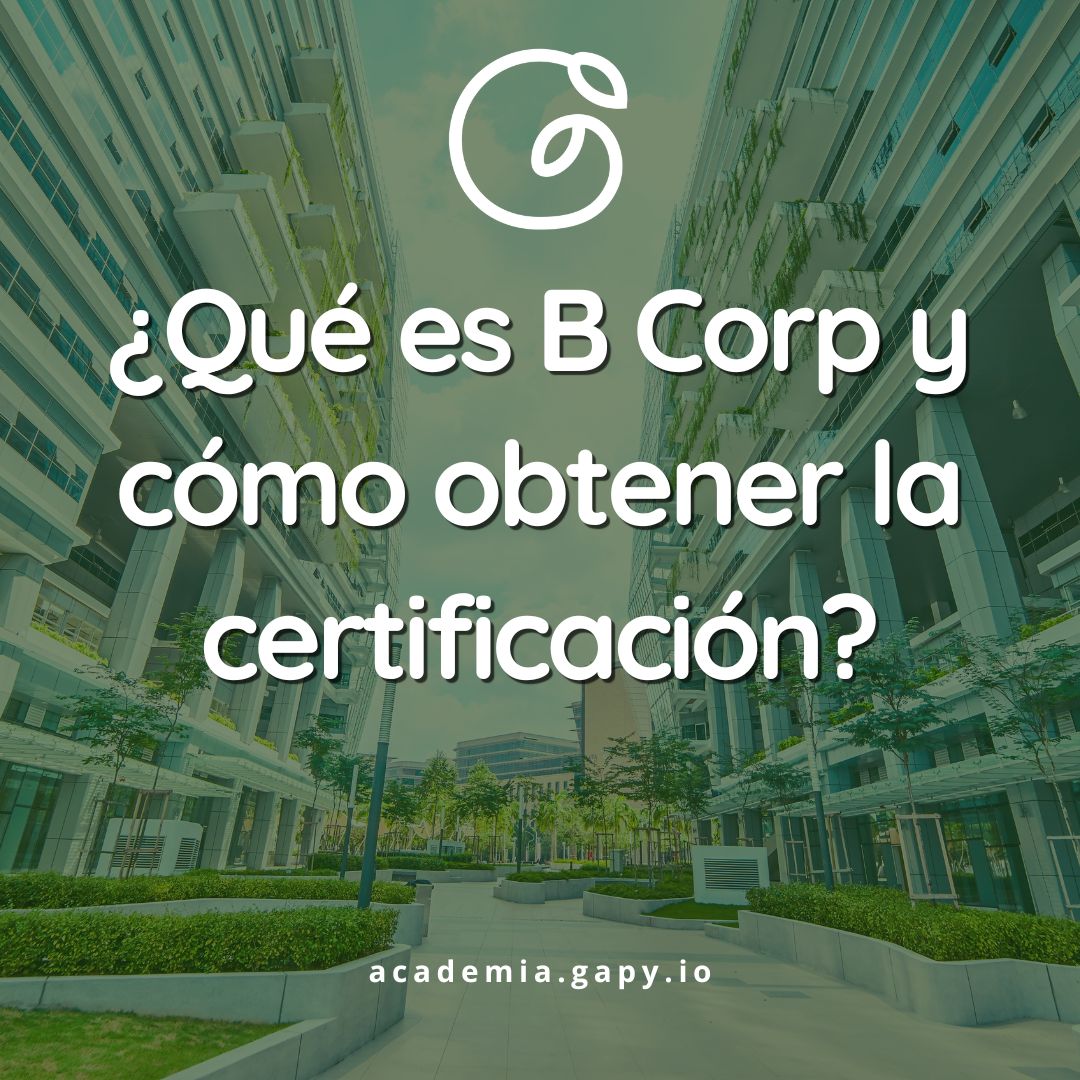 ¿Qué es B Corp y cómo certificar tu empresa?