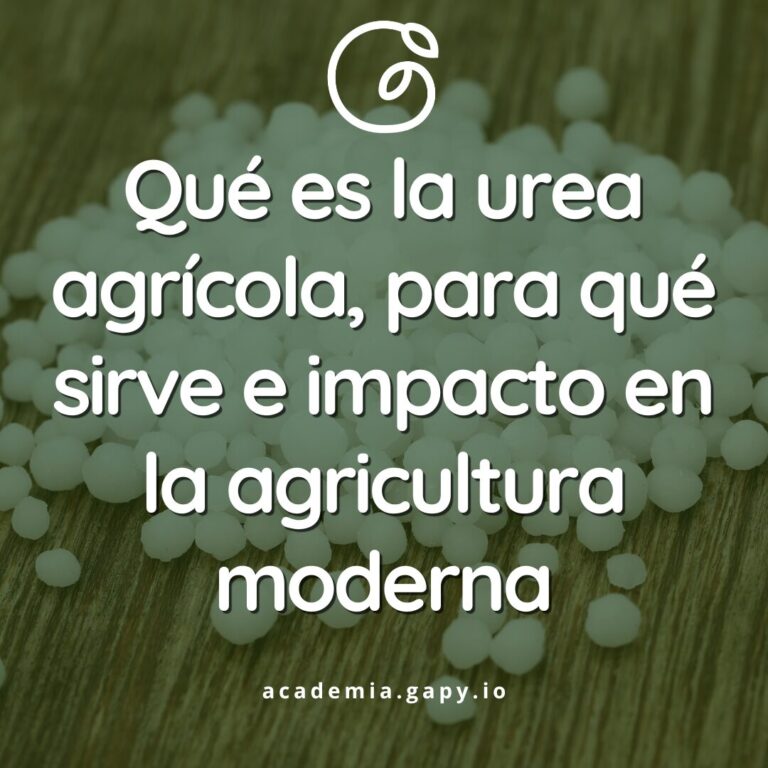 Qué es la urea agrícola, para qué sirve e impacto en la agricultura moderna