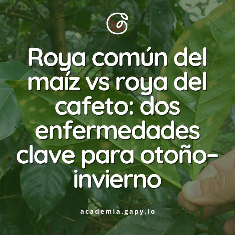 Guía de Preparación del Suelo: Cómo Mejorar la Calidad del Sustrato en ...